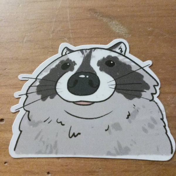 Raccoon Close up | Funny Sticker | Raccoon Sticker | Gifts Under 10 ...