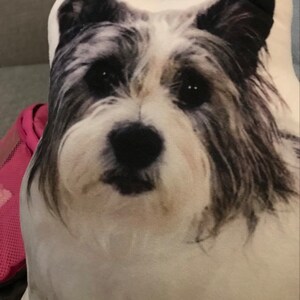 Photo Customization DIY Dog Cushion Pet Plush Toys Dolls Stuffed Animal ...