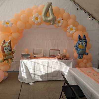 Balloon Stuffing Machine Balloon Stuffer Machine Kit With Electric Air ...