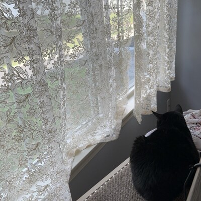 Lace Embroidered Curtain, One Panel Window Decor Curtain for Living ...