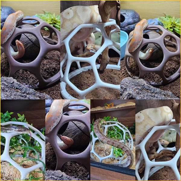 Snake Jungle Gym, Reptile Climbing Frame, Climber Enrichment for ...