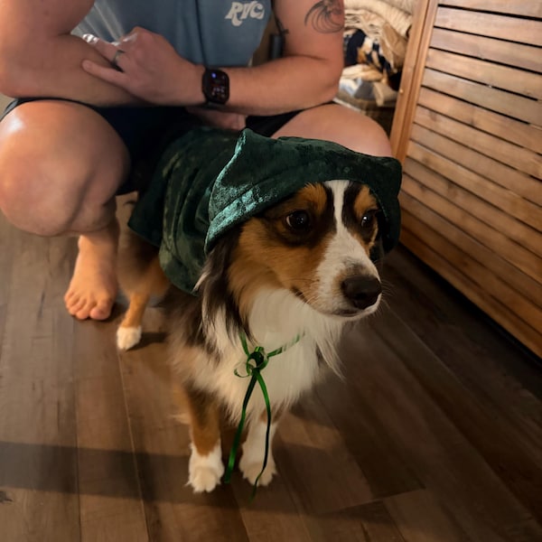 DOG Cape With Hood - Etsy