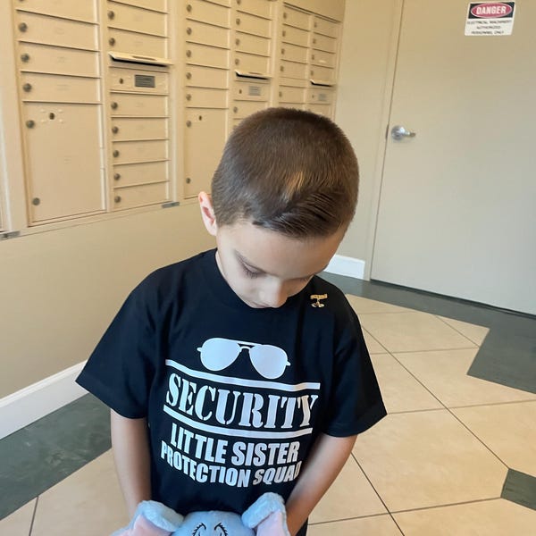 Sister Security Shirt: Promoted Big Brother Sibling Announcement - Etsy
