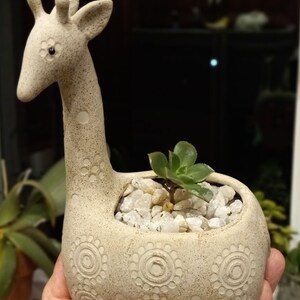 Large Abstract Face Pot Planter Vase for Succulents or Plants - Etsy