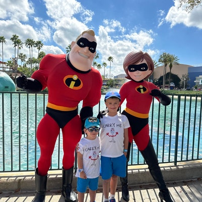 Bad to the Bo Toy Story Bo Peep T-shirt / Kids Toy Shirt / Toy - Etsy