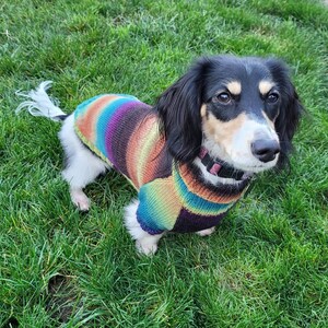 Knitting PATTERN PDF Dachshund Sweater in 1 Size S Chest 15-16 | Etsy