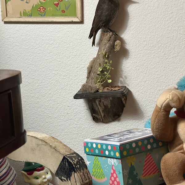 Mini Log Sconce Live Edge Floating Wooden Wall Art | Rustic Indoor ...