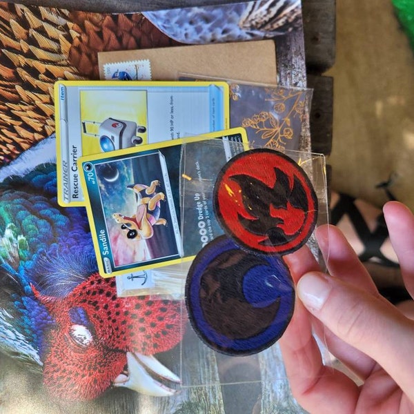 Kanto Gym Badge Patch - Etsy