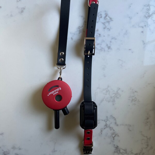 Biothane E-collar Strap - Etsy