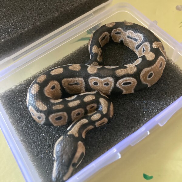 Customizable Ball Python Miniature / Figure / Sculpture / Necklace ...