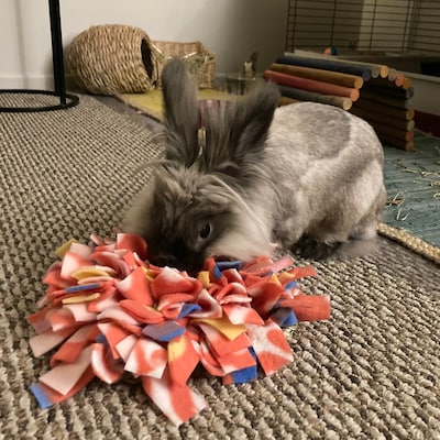 Seagrass Enrichmat™ Snuffle Mat Foraging & Enrichment Mat Well Kept ...