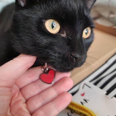 Meowry Matchstick Cat Pin - Etsy