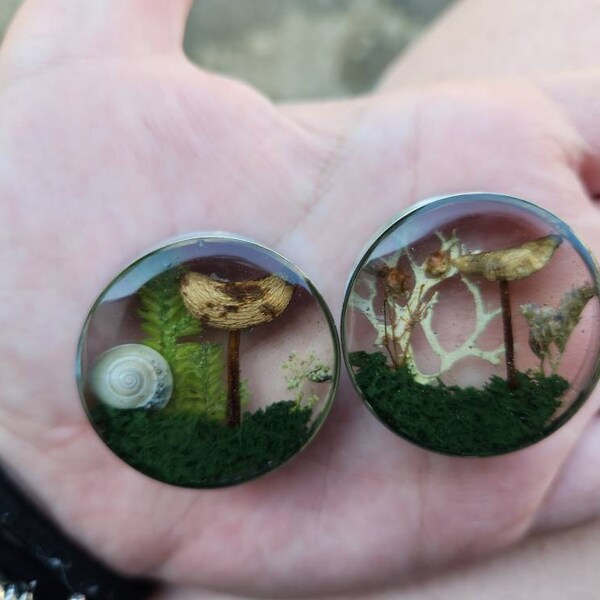 Enchanted Forest, Moss and Mushrooms Plugs. FOR PAIR. 10mm and Up - Etsy