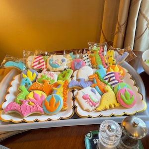 21st Birthday Cookies Girl Birthday Party Gift Adult | Etsy