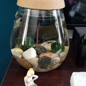 Floating Java Moss With Plant Anchor Live Aquarium Plant Terrarium ...