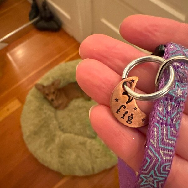 Mini Dog Tag for Dogs, the Bean, Dog Tag, Kidney Bean, Personalized ...