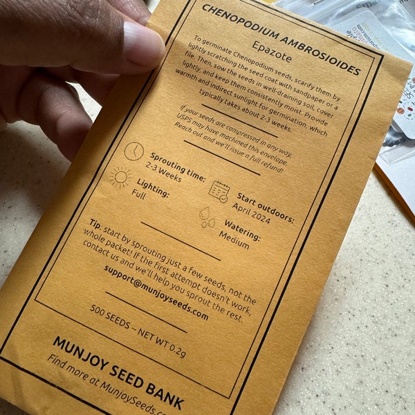 EPAZOTE Seeds *FREE Shipping!* Fresh & Organic Mexican Tea, Paiqu ...