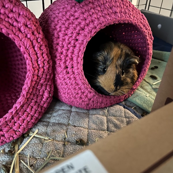 Guinea Pig Multicolor Carrier With Carrot - Small Pet Soft Cozy Carrier ...