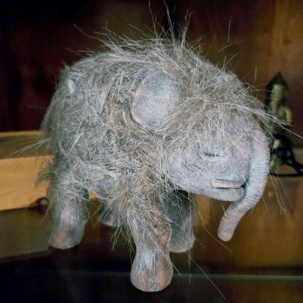 Alien Autopsy Specimen Realistic Mummified Prop - Etsy