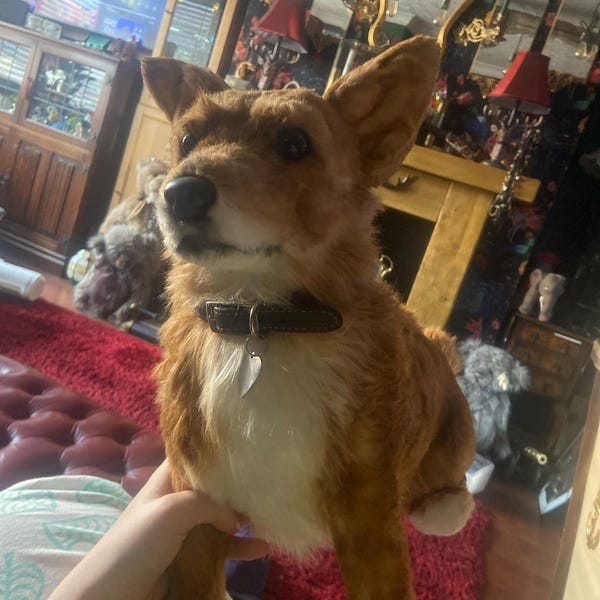 Custom Life Like Pet Plush, Personalized Rabbit Plush Clone - Etsy