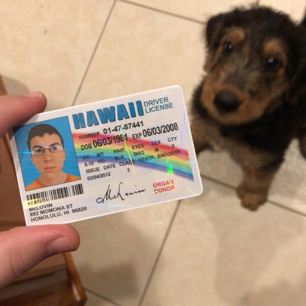 Mclovin ID Card From Movie Superbad With Hologram - Etsy