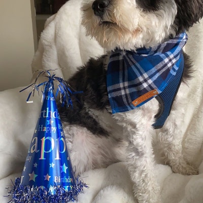 State of Michigan or Select Your State Pet Name Tag Medium 1 Max ...