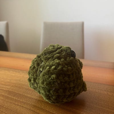 Ted the Thick Toad, Free NO-SEW Crochet Amigurumi PDF Pattern, Small ...