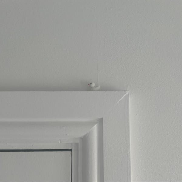 100 Duck Challenge Kit, Hide-a-duck Kit, Miniature Duck Scavenger Hunt ...