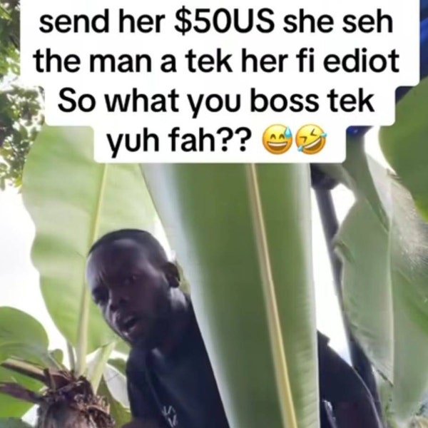 Stinking Toe(hymenaea Courbaril) Powder(4oz) - Etsy