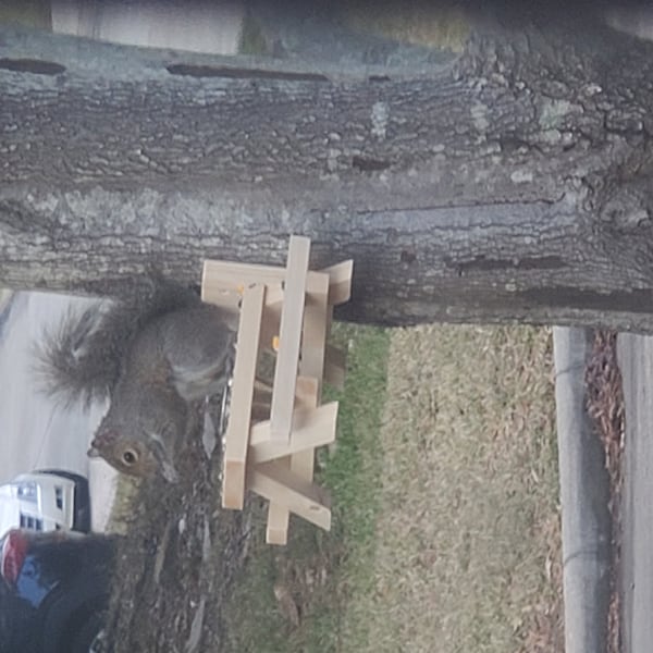 Squirrel Picnic Table, Squirrel Feeder, Picnic Table for Squirrel, Fence Picnic Table for ...