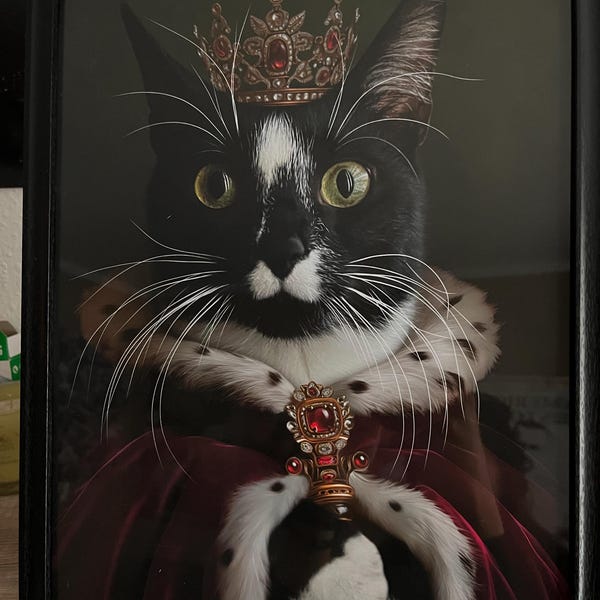 Custom Witch Pet Portrait From Photo Perfect Gothic Gift Dark Pet Gift ...