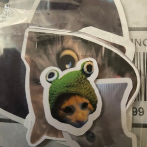 Custom Pet Sticker Animal Sticker Personal Sticker Photo - Etsy