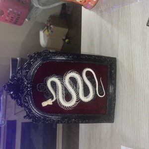 Snake Skeleton Framed, Black & Burgundy real Snake Skeleton Framed ...