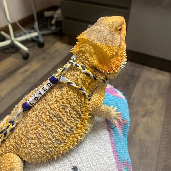 Bearded Dragons Harness/ Leash - Etsy