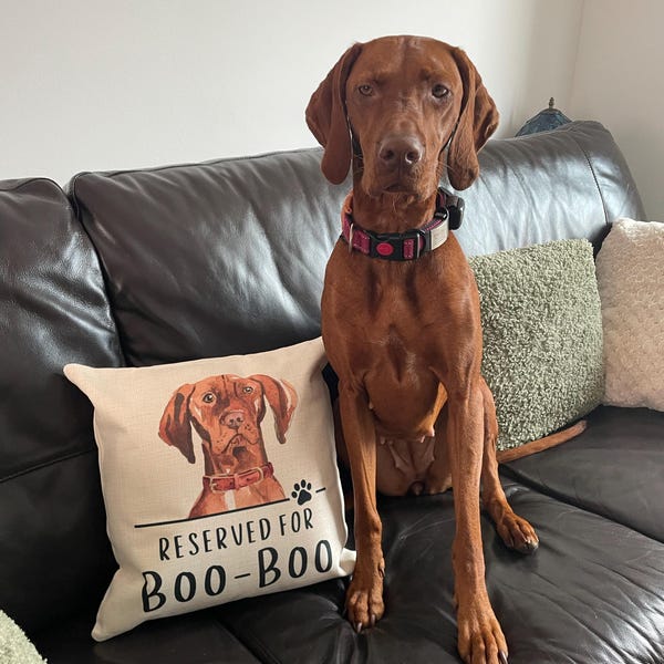 Happy Tin Years – 10th Anniversary Card: – Tin Anniversary Card - 10th ...