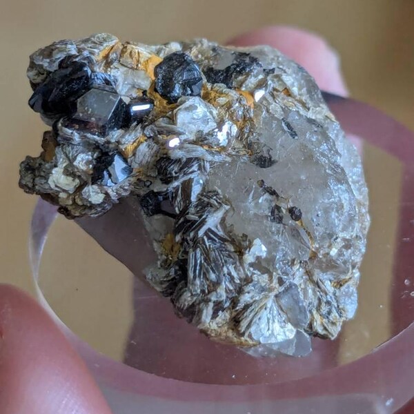 Dravite From May Downs Station, Australia – Miniature - Etsy