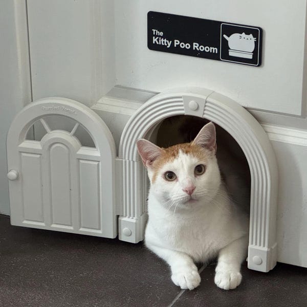 Kitty Poo Room Office Sign - Hilarious Cat Sign - Litter Box Room Sign ...