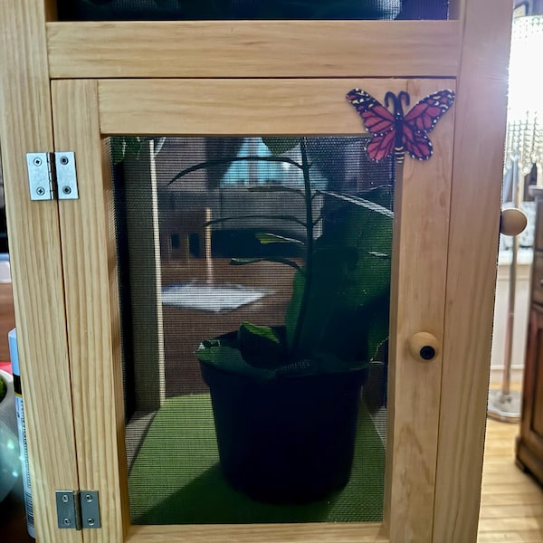 Monarch Butterfly Standard Wood-frame Enclosure & Screenroom Habitat ...