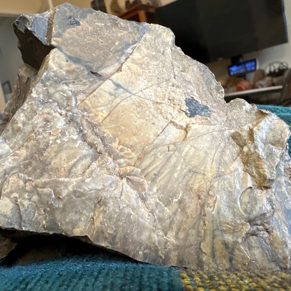 Delightful Freckled Calamity Jasper * - Etsy