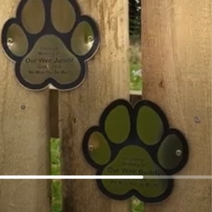 Personalised, Engraved, Paw Print, Pet Memorial, Plaque, Brushed Brass ...