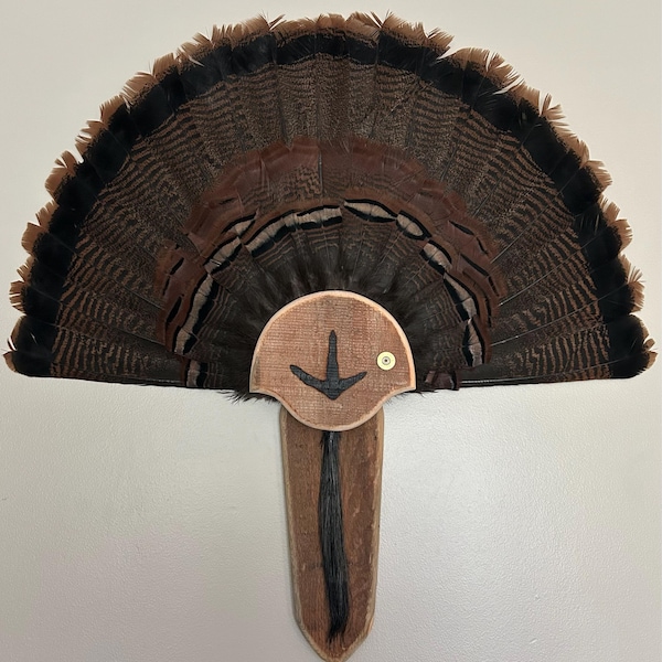Classic Turkey Fan Mount - Etsy