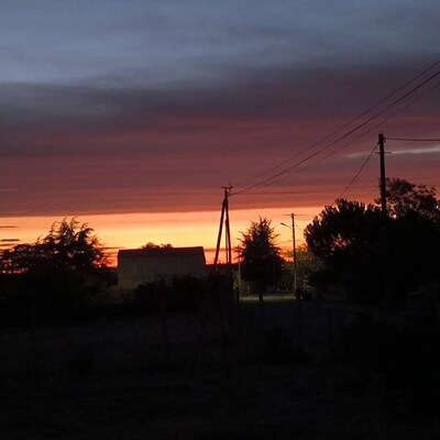 Rose Gold Safari Digital Paper Seamless African Animal - Etsy