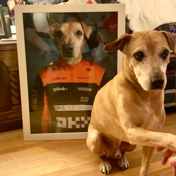 Red Ball, Formula Racing Car, F1 Driver Team Pet Portrait, Custom Dog ...