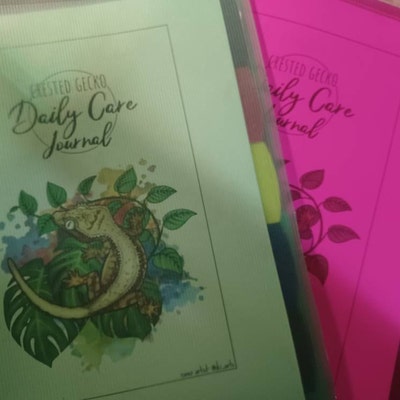 Coloring Page Leopard Gecko Mandala Printable Coloring - Etsy