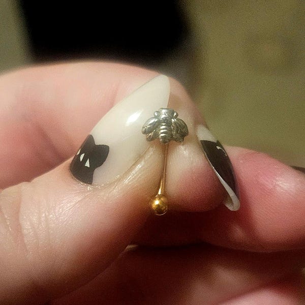16g Star Eyebrow,eyebrow Ring, Star Barbell,rook Barbell,rook Earrings ...