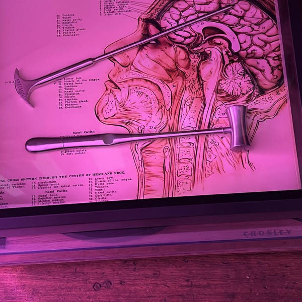 BESTSELLER! Lobotomy Shadowbox Display Large - Etsy