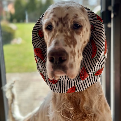 Cotton Snoods Snoods for Long-eared Dogs Ear Protector Dog Snood Dog ...