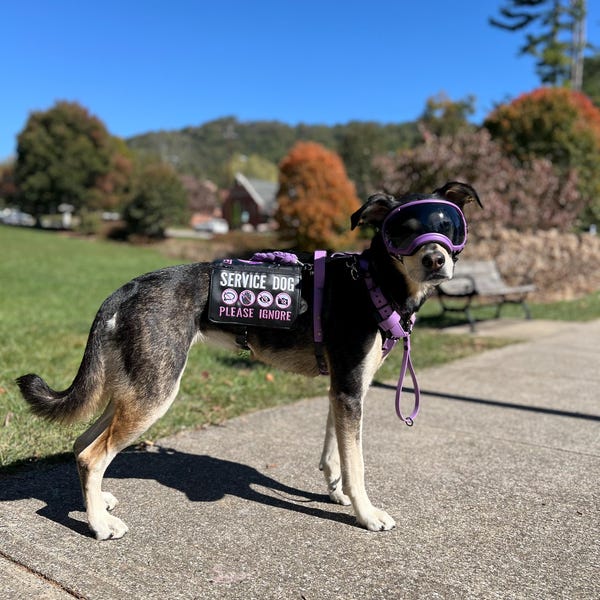 Vest adjustable Size, i'm Deaf and Partially Sighted, Light Weight Sd ...