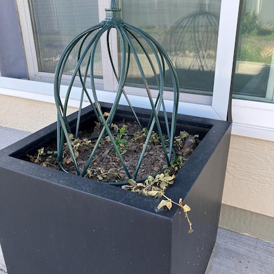 Wrought Iron 25 Cone Topiary Flower Trellis, Metal Plant Climber ...