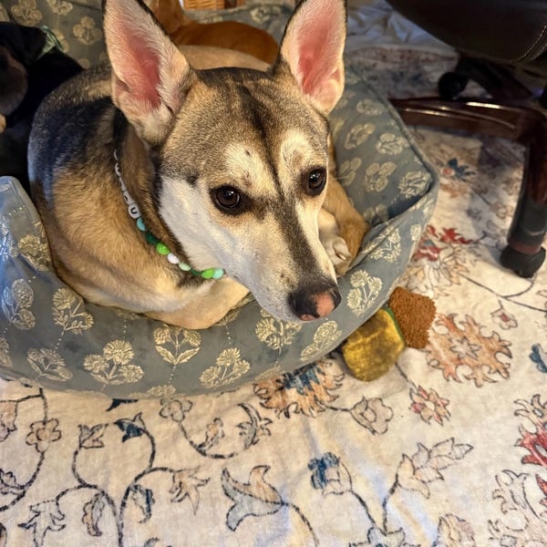 Personalized Teacher ID Lanyard With Name, Wooden Beaded Teacher ...